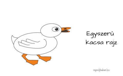 Egyszerű kacsa rajz - Rajzolj babát!
